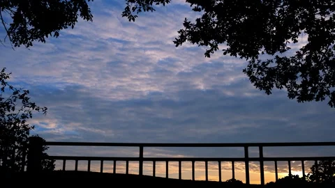 Nature Park Silhouette: Trees, Railing, ... | Stock Video | Pond5