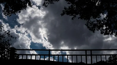 Nature Park Silhouette: Trees, Railing, ... | Stock Video | Pond5