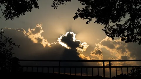 Nature Park Silhouette: Trees, Railing, ... | Stock Video | Pond5