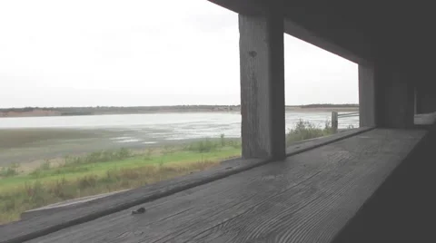 Full Pictures Of Stock Videos – Royalty-Free HD & 4K Videos | Pond5