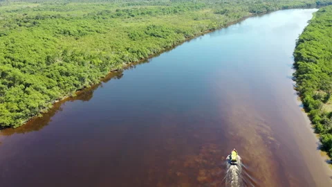 Nature Scene Of Amazon River - Amazon Ra... | Stock Video | Pond5