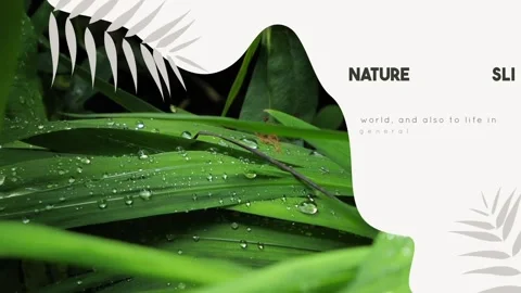 After Effects: Nature Slides | After Effects #233238700
