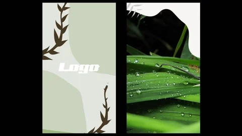 After Effects: Nature Stories | After Effects #233239198