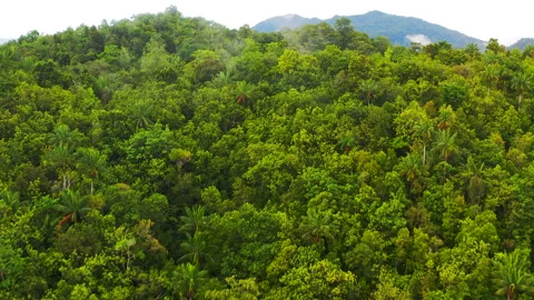 Candid Definition Stock Videos – Royalty-Free HD & 4K Videos | Pond5