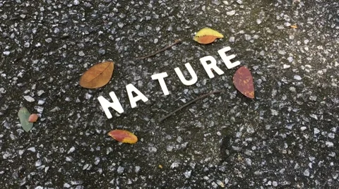 Commercial Tv Services Stock Videos – Royalty-Free HD & 4K Videos