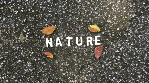 Commercial Tv Services Stock Videos – Royalty-Free HD & 4K Videos