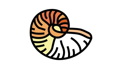 Nautilus Design Stock Videos – Royalty-Free HD & 4K Videos | Pond5