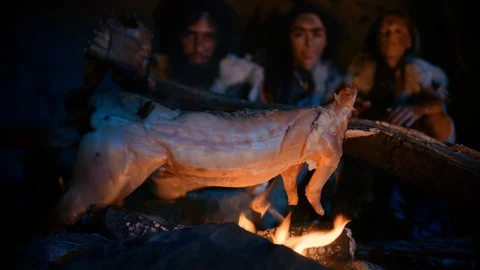 Homo Sapiens Stock Videos – Royalty-Free HD & 4K Videos