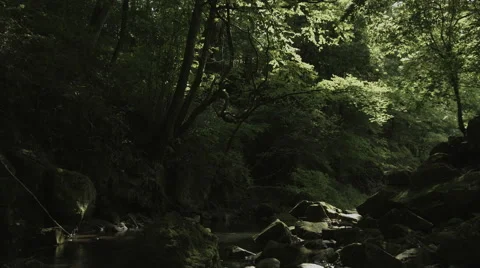 Non Colour Graded Stock Videos – Royalty-Free HD & 4K Videos