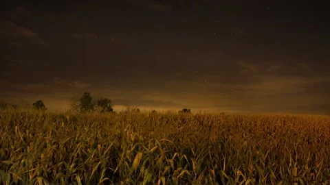 Gold Starlight Stock Videos – Royalty-Free HD & 4K Videos | Pond5