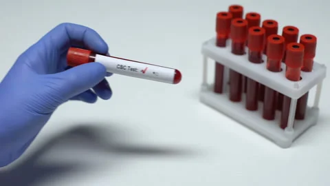 Showing Results Complete Stock Videos – Royalty-Free HD & 4K Videos