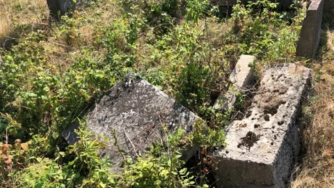 Neglected Graves Stock Video Footage | Royalty Free Neglected Graves ...