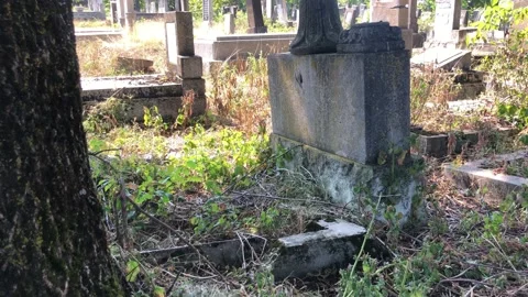 Neglected Graves Stock Video Footage | Royalty Free Neglected Graves ...