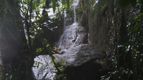 Neluwa Doowili Ella Falls. Sinharaja For... | Stock Video | Pond5
