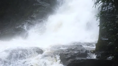Neluwa Doowili Ella Falls. Sinharaja For... | Stock Video | Pond5