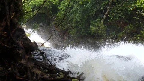 Neluwa Doowili Ella Falls. Sinharaja For... | Stock Video | Pond5
