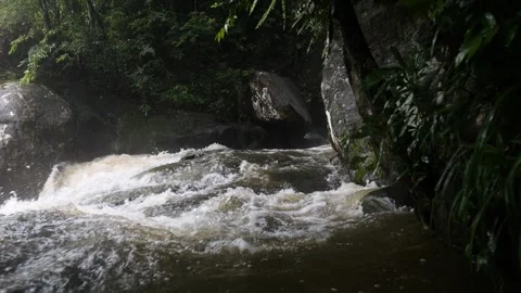 Neluwa Doowili Ella Falls. Sinharaja For... | Stock Video | Pond5