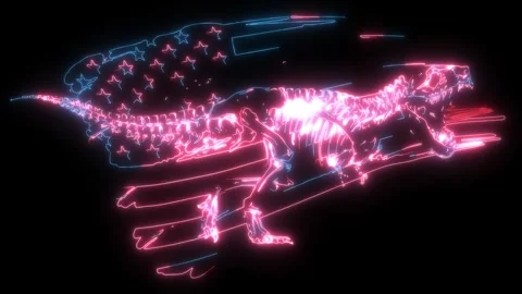 Tyrannosaurus Skeleton Stock Video Footage | Royalty Free Tyrannosaurus ...