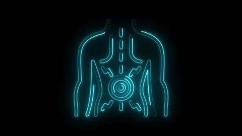 Anztomy Back Stock Videos – Royalty-Free HD & 4K Videos | Pond5