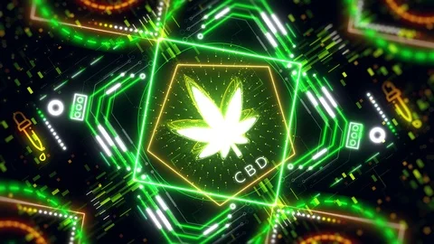 Neon Cannabis Plant Stock Videos – Royalty-Free HD & 4K Videos