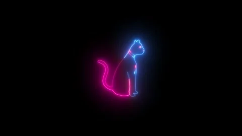 Neon cat icon blue pink color animation ... | Stock Video | Pond5