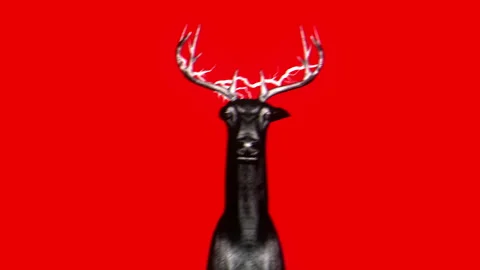 Neon deer lightning party VJ Loop animat... | Stock Video | Pond5