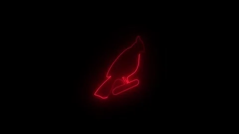 Neon glowing red bird icon animation in ... | Stock Video | Pond5