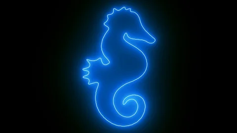 Neon glowing seahorse that changes color... | Stock Video | Pond5