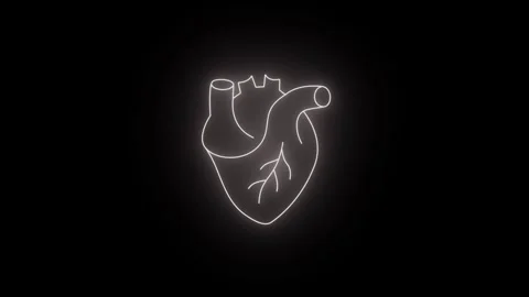 Neon human heart animation. Animation of... | Stock Video | Pond5