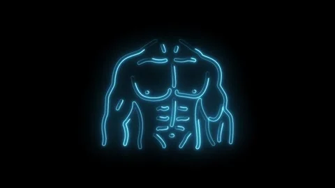 Torso Muscles Drawing Stock Videos – Royalty-Free HD & 4K Videos