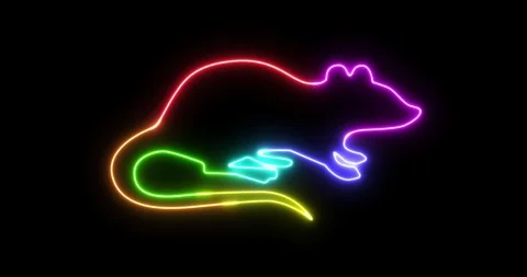 Mouse Outline Stock Video Footage | Royalty Free Mouse Outline Videos ...