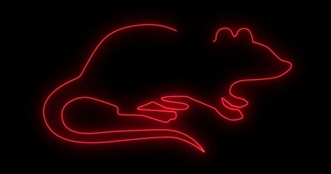 Neon rat (mouse) silhouette - outline ne... | Stock Video | Pond5