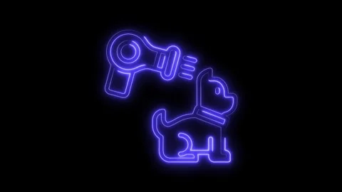 Dog Style Videos Stock Videos – Royalty-Free HD & 4K Videos