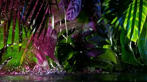 Neon tropical leaves with falling water ... | Stock Video | Pond5