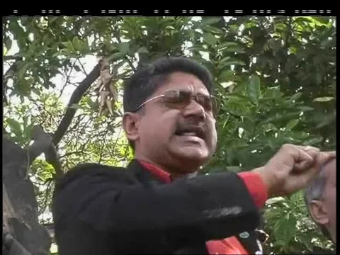 Bar Professors Stock Videos – Royalty-Free HD & 4K Videos | Pond5