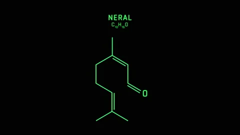 Neral Skeletal Formula or Molecular Stru... | Stock Video | Pond5