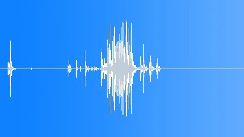 Sound Effect: Nerf Maverick Rev 6 Revolver Toy Gun Short Barrel Roll ...