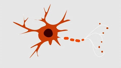 Nerve. Cartoon style. Animated illustrat... | Stock Video | Pond5