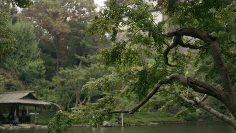 Japanese Maning O Stock Videos – Royalty-Free HD & 4K Videos | Pond5