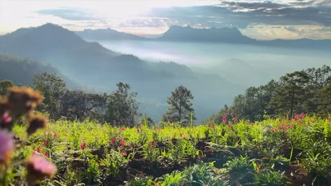 Nestled in the beautiful Wiang Haeng Dis... | Stock Video | Pond5