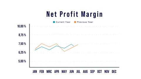 Net profit margin current year and last ... | Stock Video | Pond5
