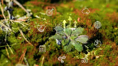 Net zero concept , carbon neutral conce... | Stock Video | Pond5