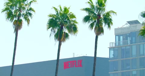 Netflix Logo Stock Videos – Royalty-Free HD & 4K Videos | Pond5