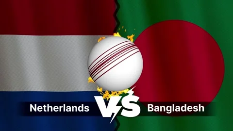 Animated Ball Stock Videos – Royalty-Free HD & 4K Videos | Page 5