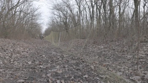 Nets for catching wild animals in the fo... | Stock Video | Pond5
