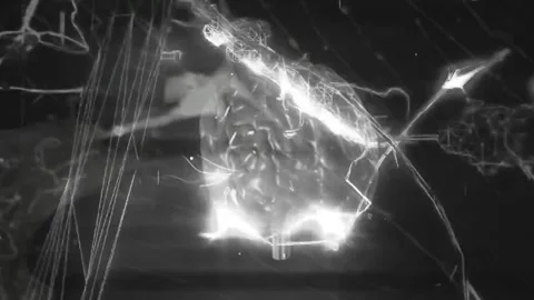 Brain Pathways Stock Video Footage | Royalty Free Brain Pathways Videos ...