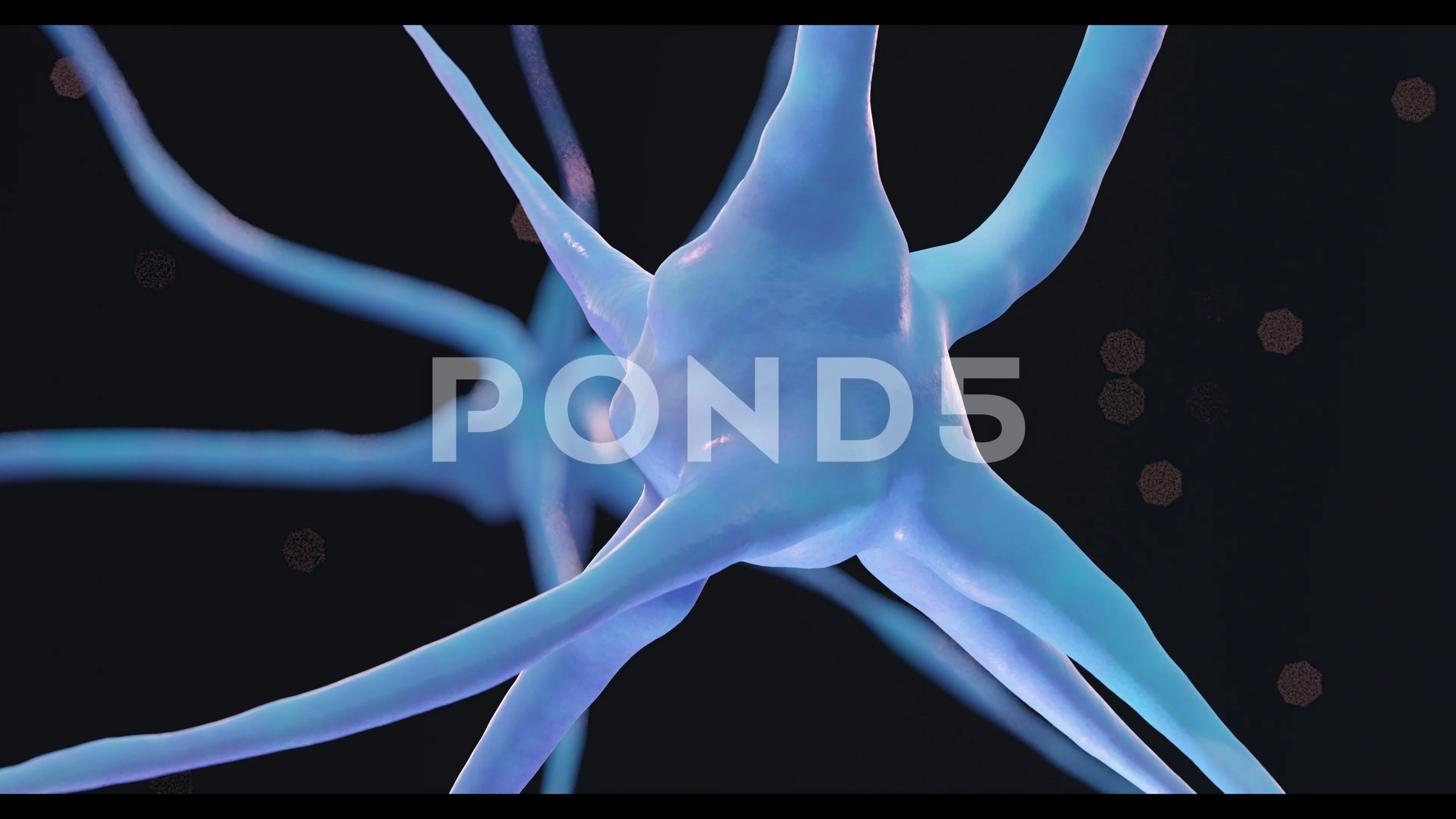 Neuron 3d Max