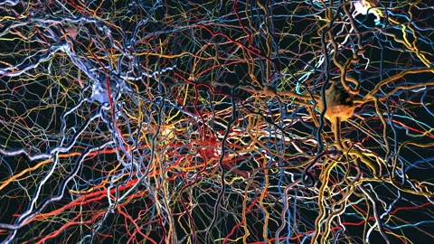 A neural network with neuronal connectio... | Stock Video | Pond5