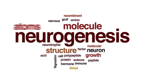 Neurogenesis animated word cloud, text d... | Stock Video | Pond5