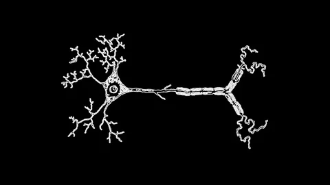 Doodle Brain Stock Video Footage | Royalty Free Doodle Brain Videos | Pond5